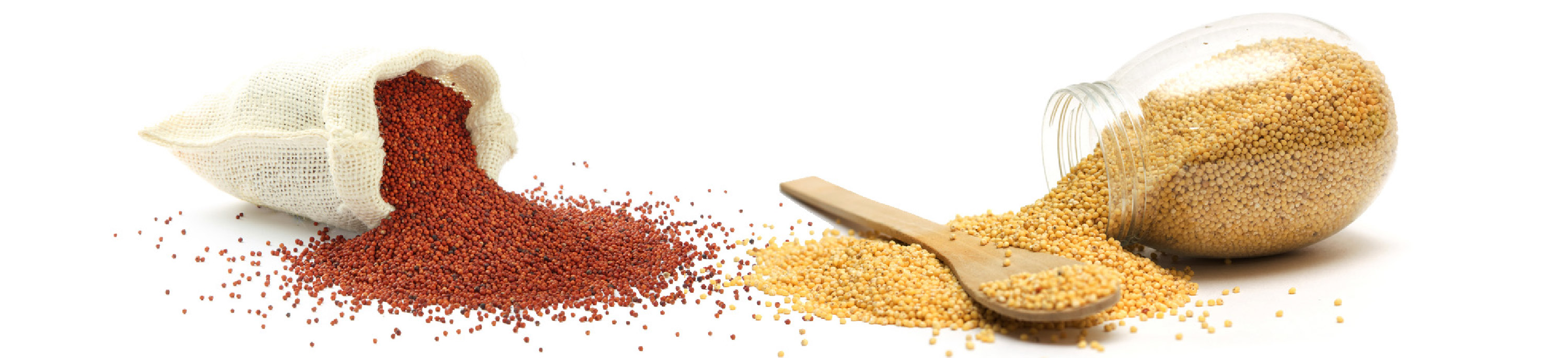 Types of Millets: A Complete Guide to Different Varieties | Right Shift